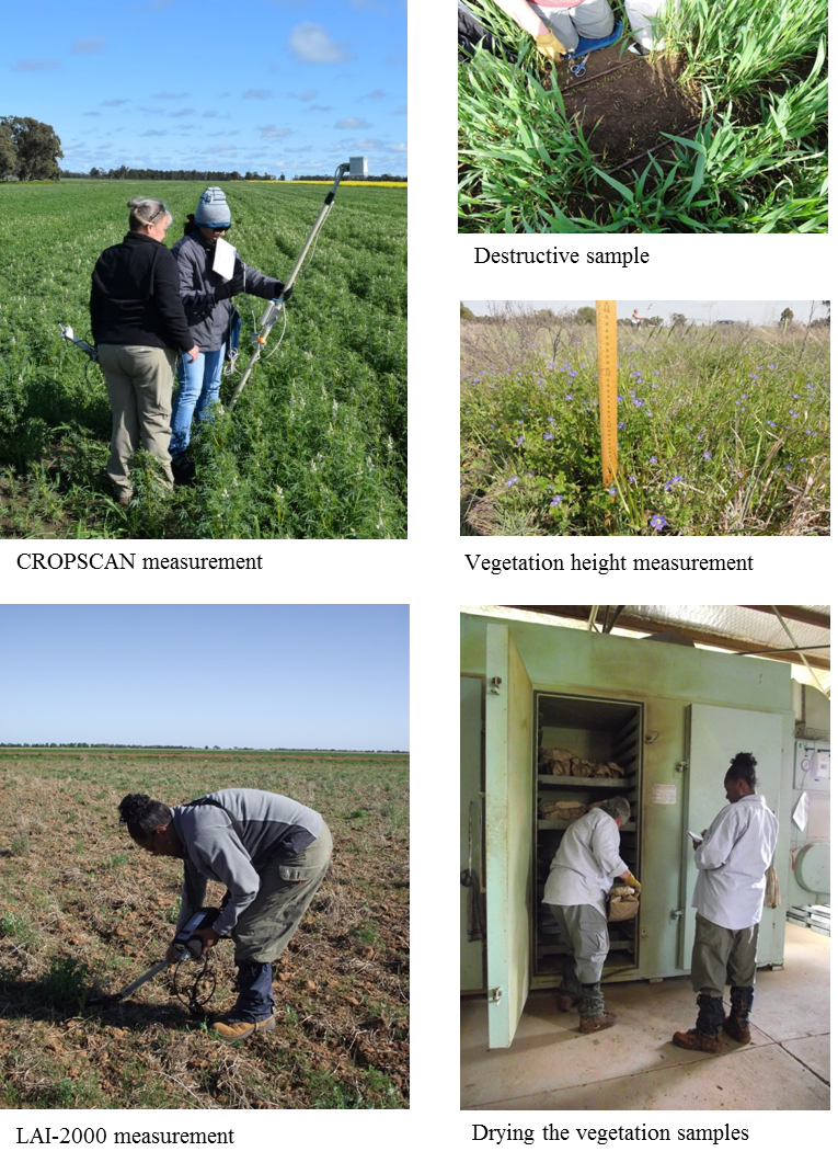 SMAPEx-5 Vegetation Sampling